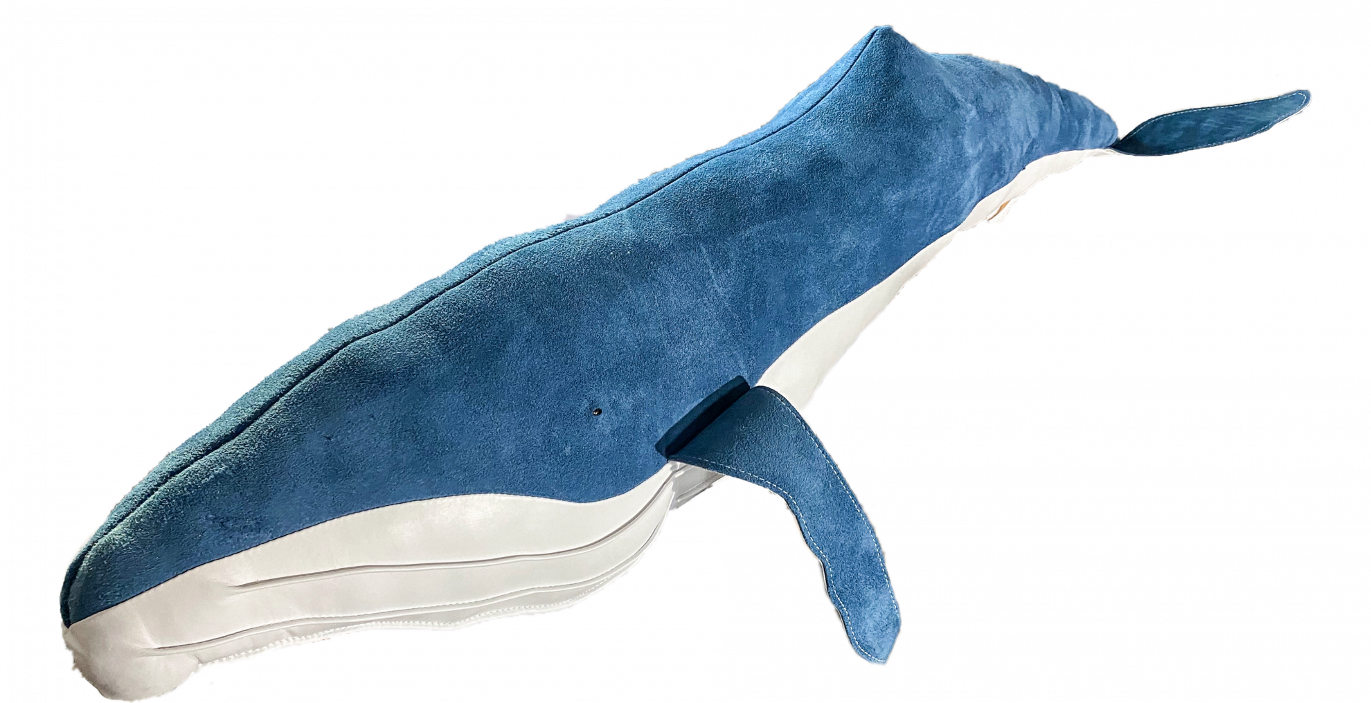 Leather Humpback Whale calf from The Greenland Fishery Project
